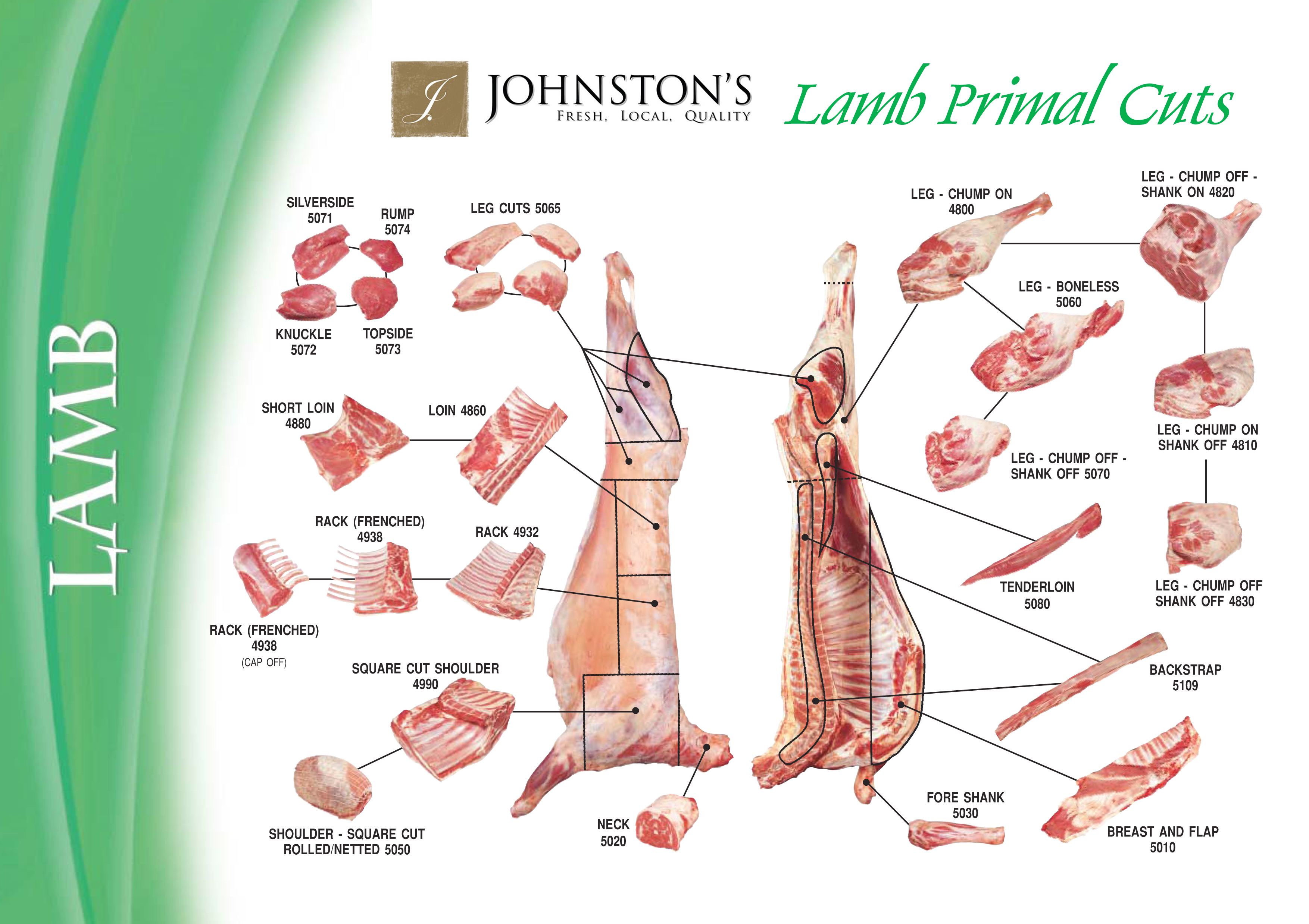Lamb Meat Cuts Chart